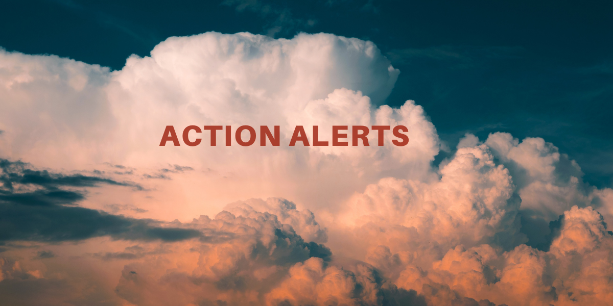 Action Alerts - Canadian Environmental Law Association