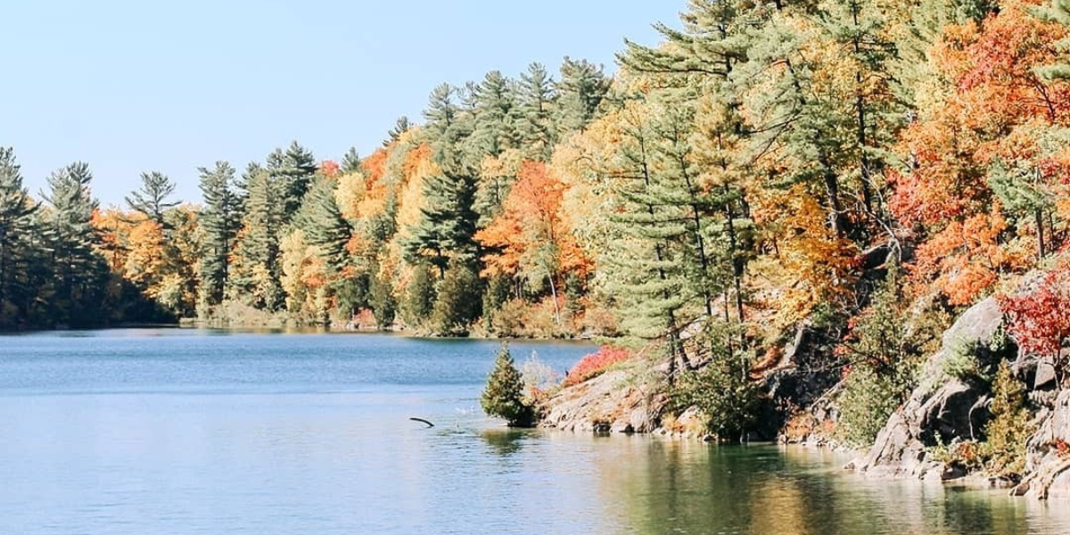 Recommended Great Lakes and freshwater protections for Budget 2023 ...