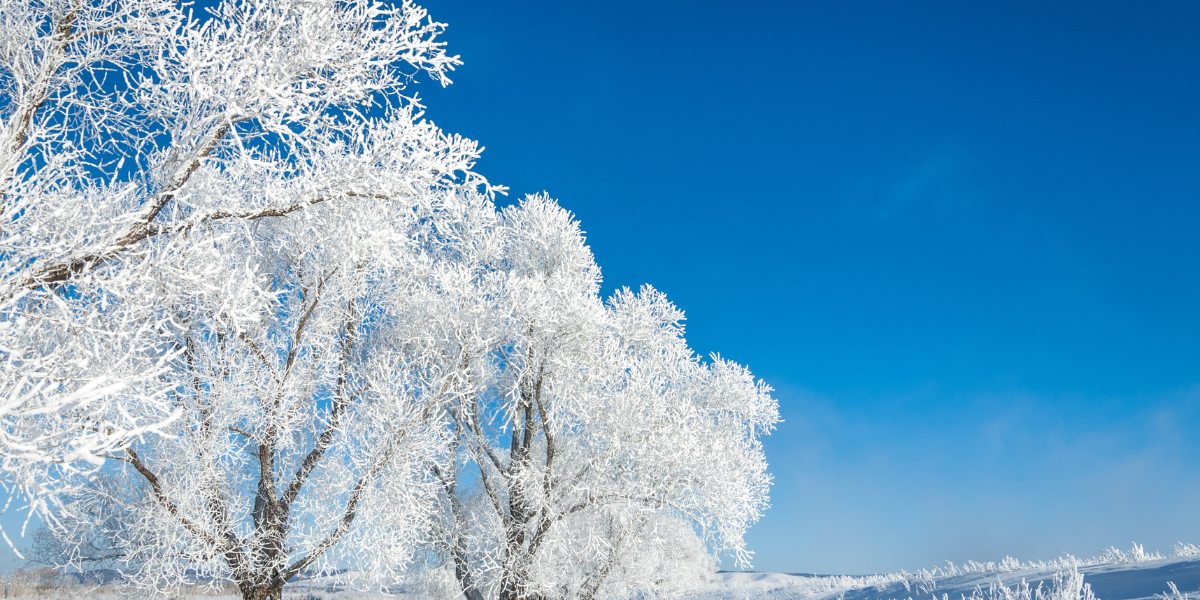 February 2024 Newsletter - Intervenor, Volume 48, Number 2 - Canadian Environmental Law Association