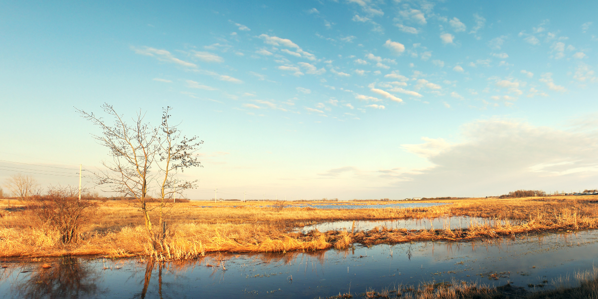 Submission: Reviewing the Canadian Nuclear Laboratories Ltd.’s ...