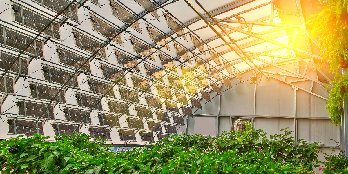Blog: Workplace Heat Protection – Bill 222 Aims to Keep Workers Safe ...